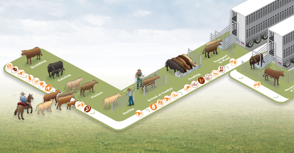 Canadian Beef Systems - Canadian Beef